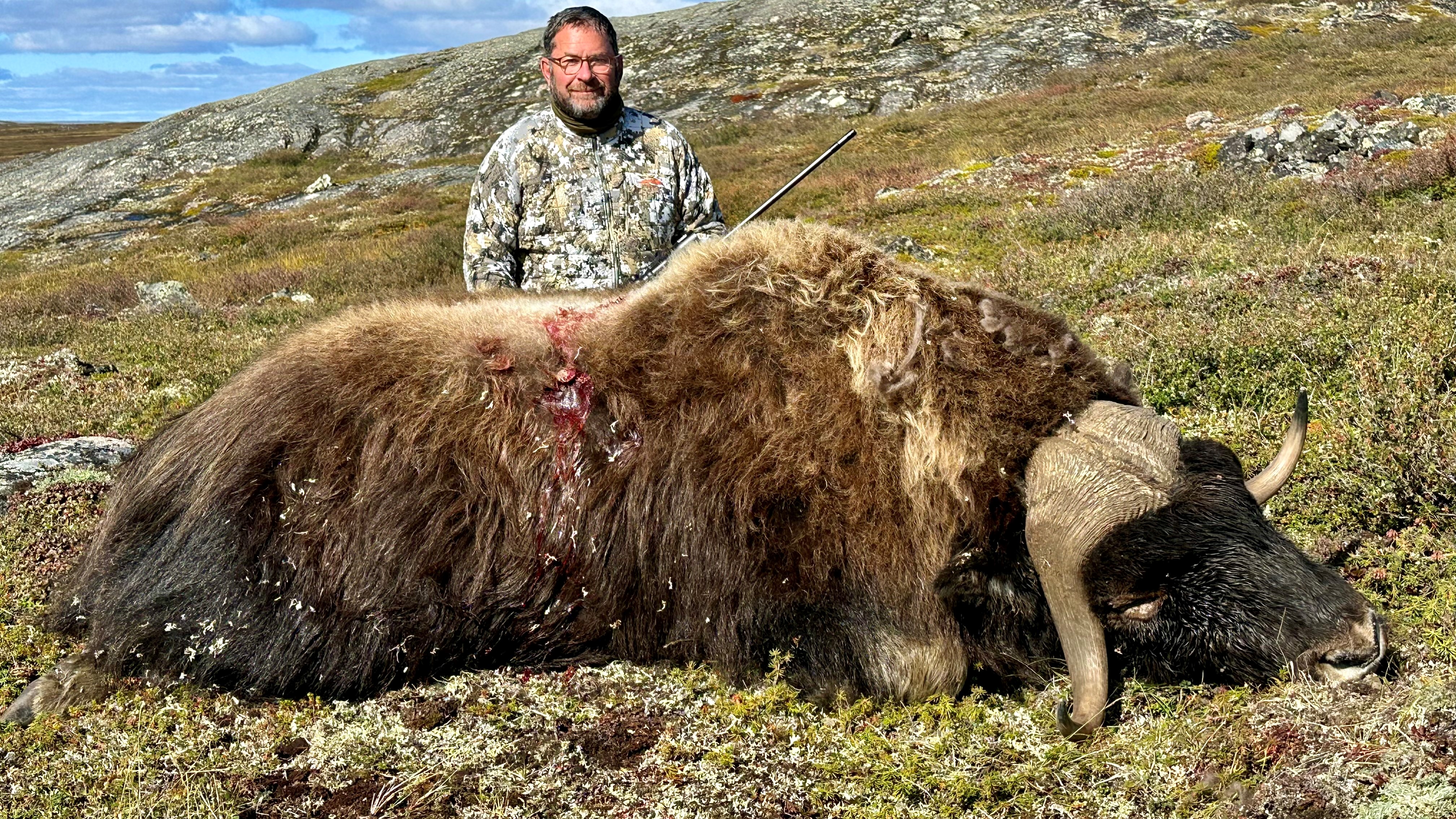 Musk Ox Hunts | Henik Lake Adventures