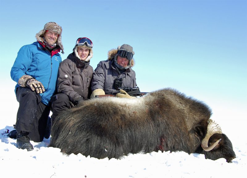 Musk Ox Hunting Nunavut | 2016 Photo Gallery