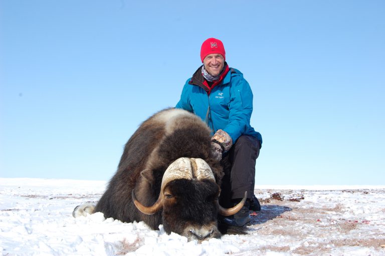 Musk Ox Hunting Nunavut | 2016 Photo Gallery
