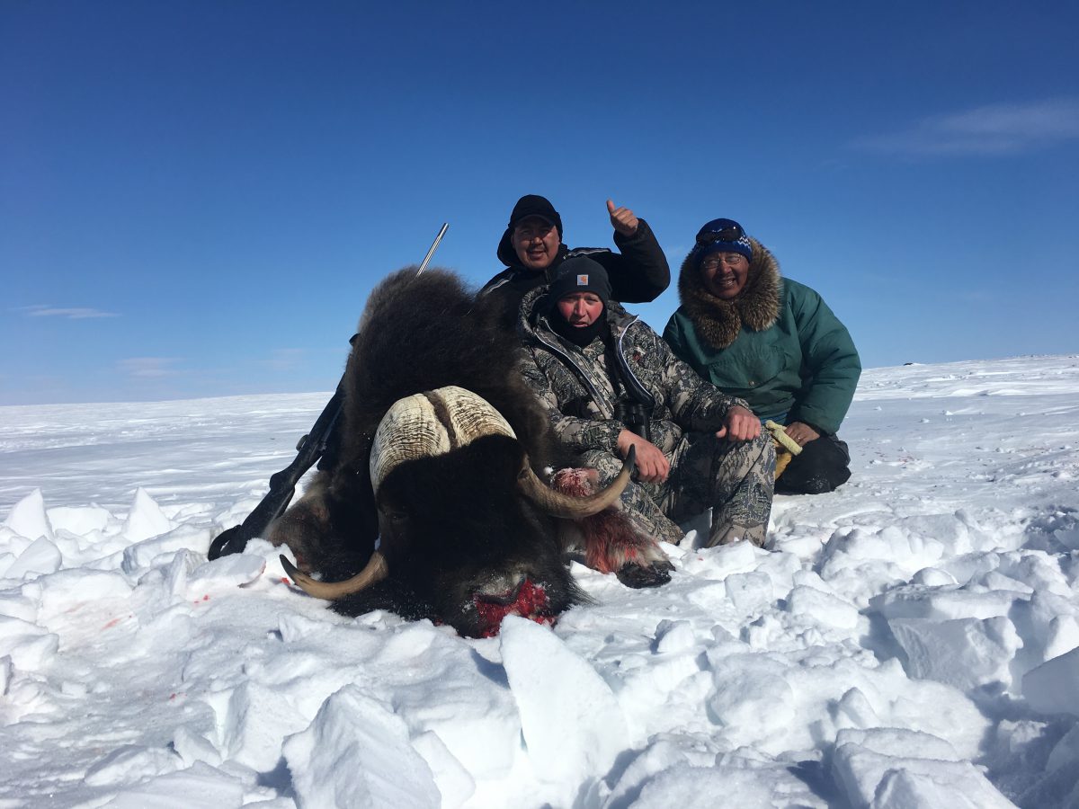 Musk Ox Hunting 2017 | Henik Lake Adventures