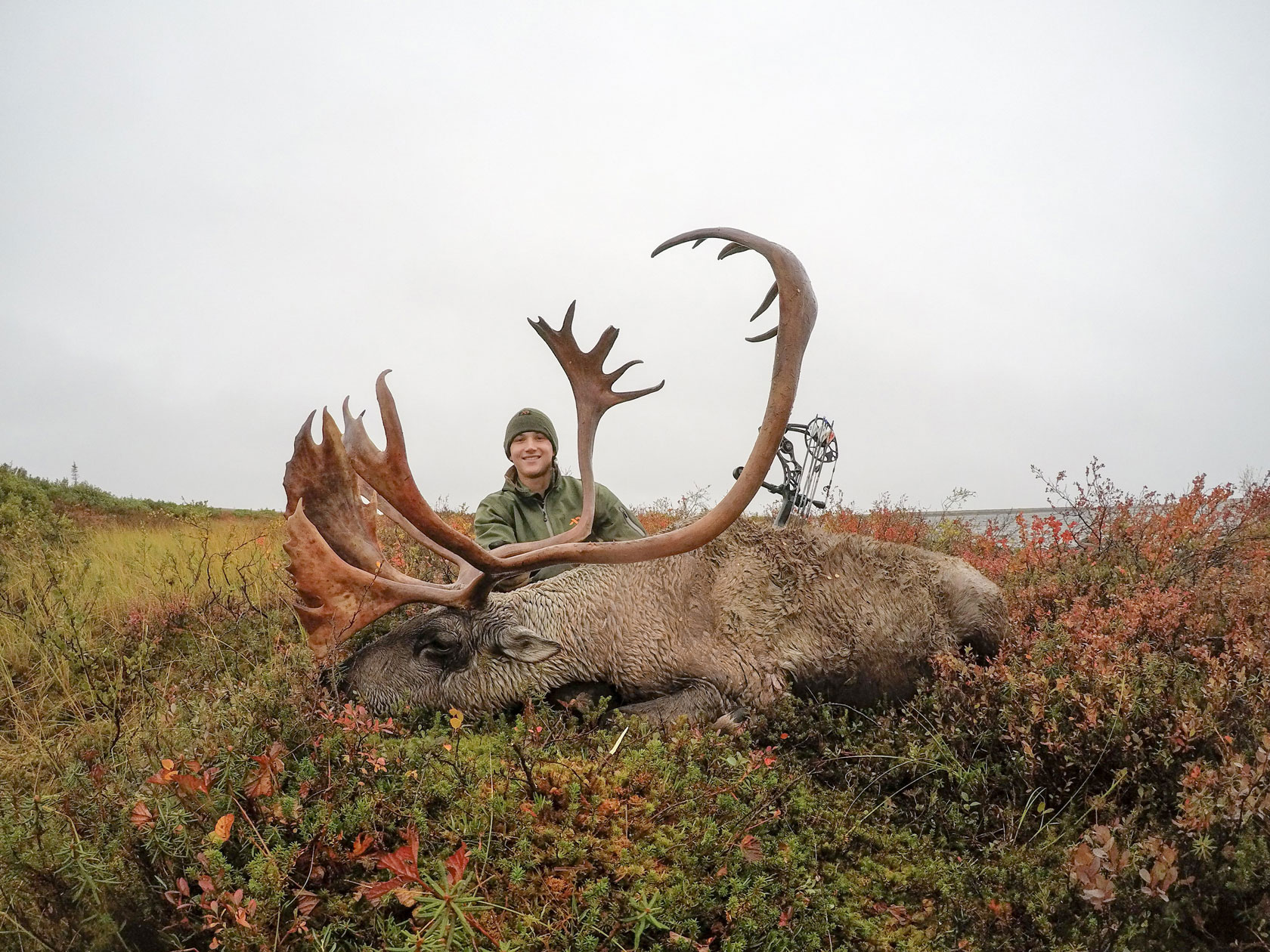 Henik Lake Adventures | Hunting in Nunavut | Caribou, Musk Ox, Grizzly!