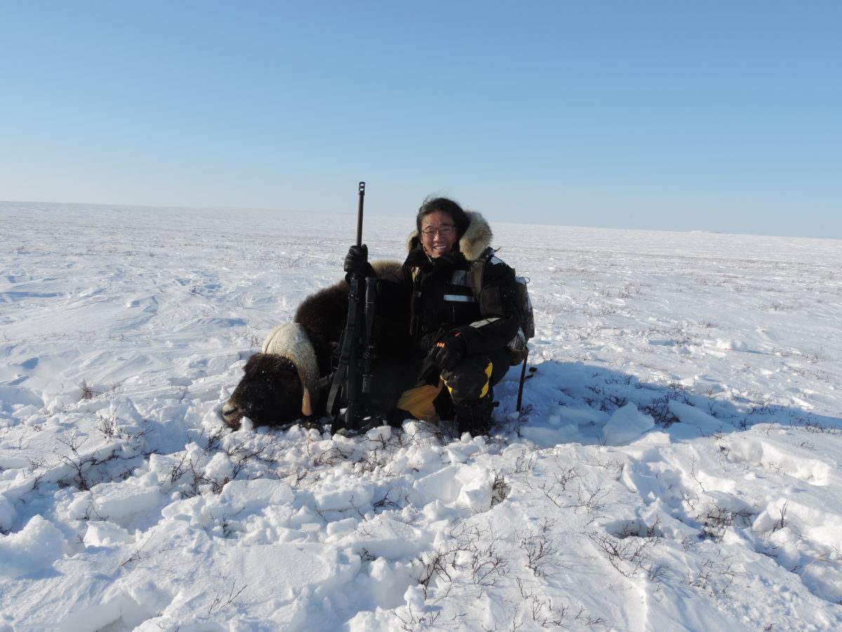 Musk Ox Hunting 2018 | Henik Lake Adventures