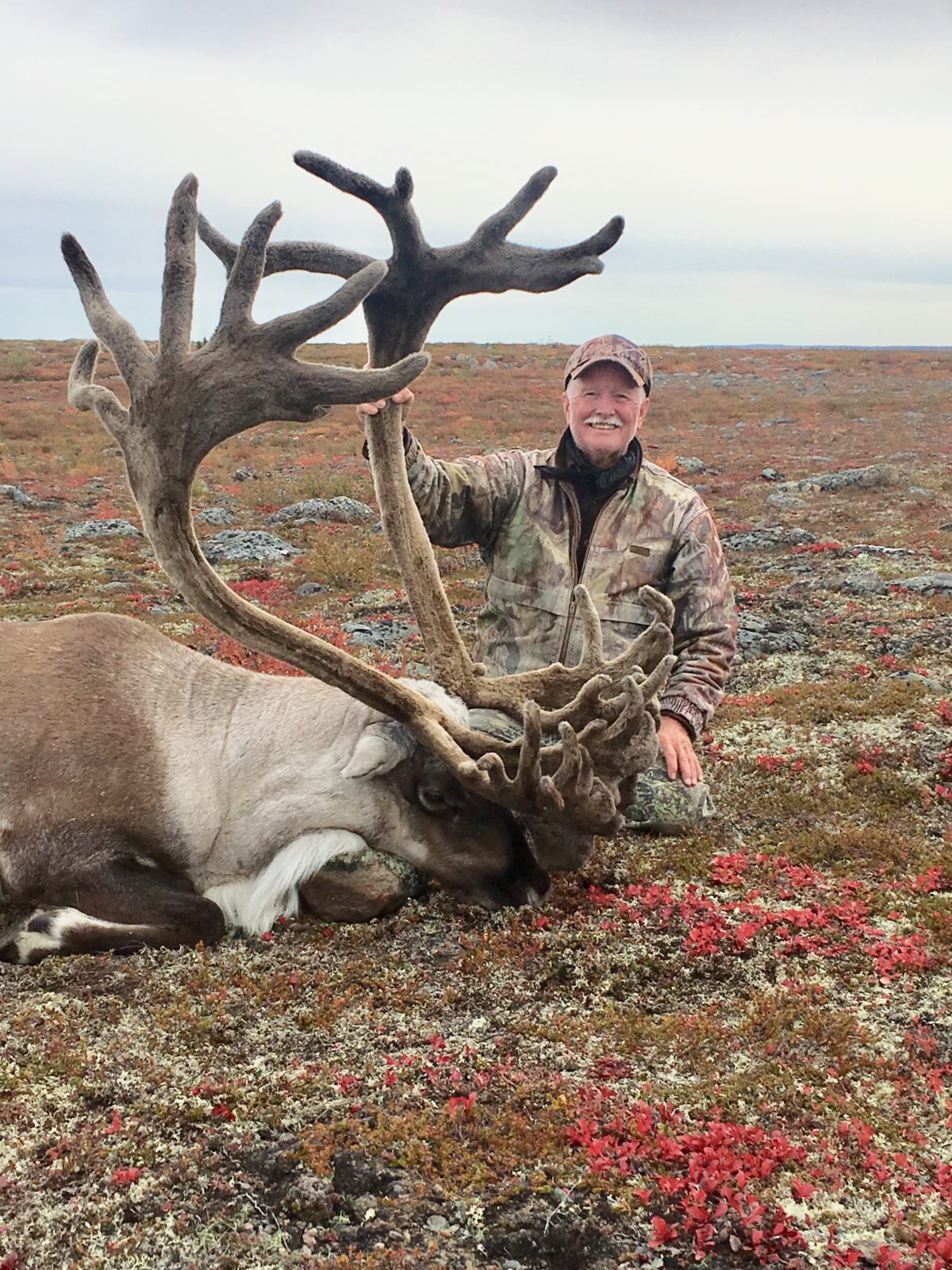 Henik Lake Adventures | Hunting in Nunavut | Caribou, Musk Ox, Grizzly!